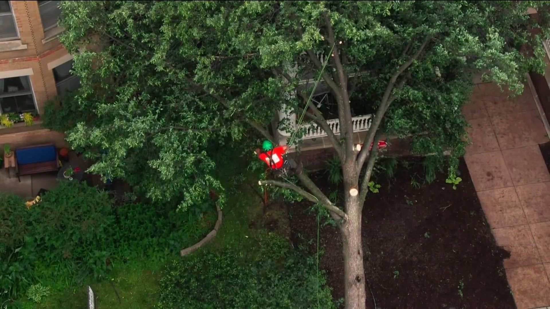 Thousands still without power after strong winds, downed trees | kare11.com