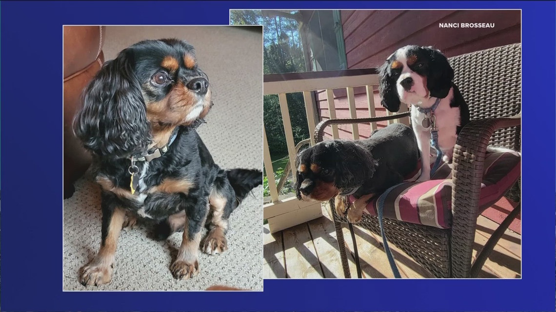 Your Good News: Nanci Brosseau, Dominic Misurek, Jason Anderson ...