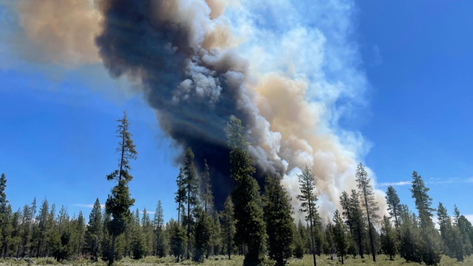 Record-breaking wildfires scorch more than 1.4 million acres in Oregon ...