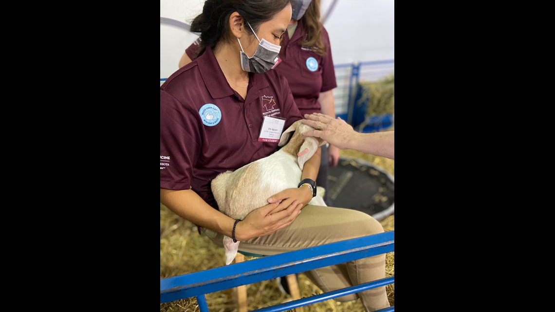 PHOTOS: Minnesota State Fair animals | kare11.com