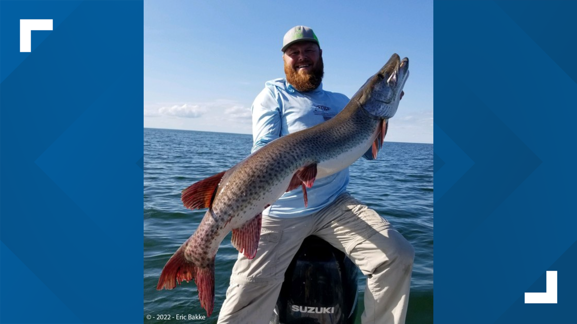 Minnesota man sets state record with massive 58.25-inch muskie | kare11.com