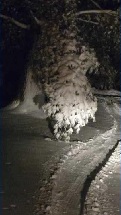 Who got the most snow from the winter storm? | kare11.com