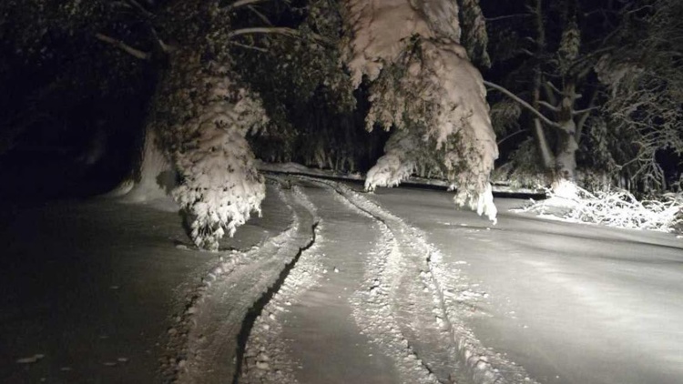 Who got the most snow from the winter storm? | kare11.com