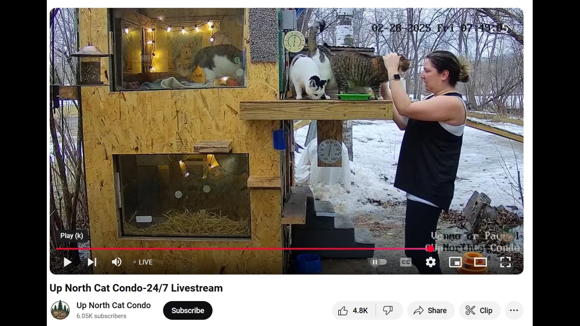 Frazee family goes viral for cat condo livestream | kare11.com