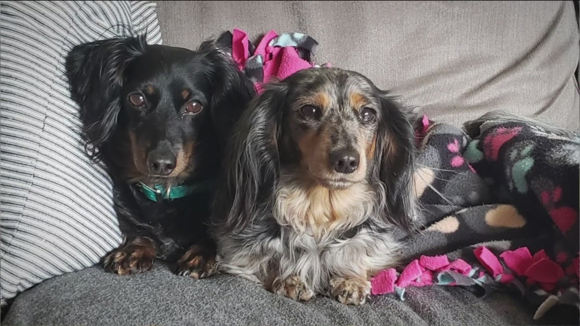 Your Good News: Barbara Heckmann, Sherry, Tracy, Gregg Chirhart ...