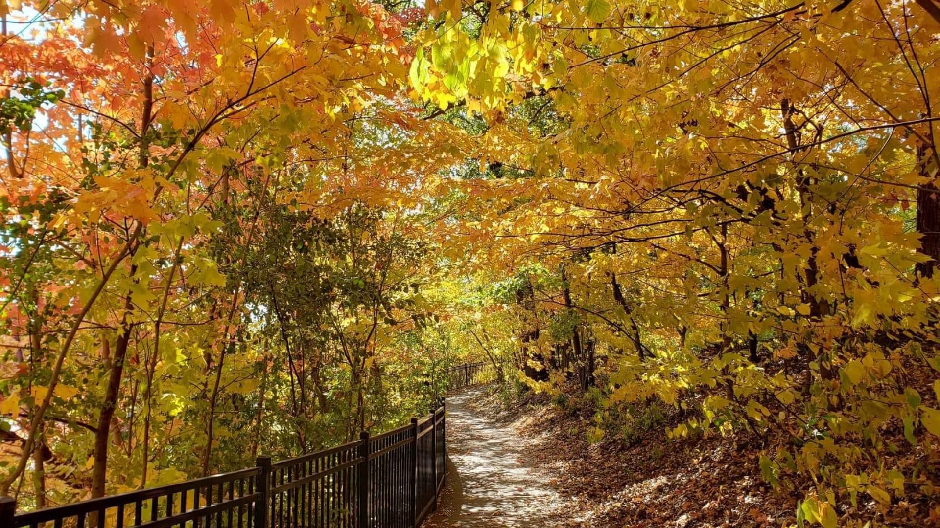 Fall colors in Minnesota: Your photos | kare11.com