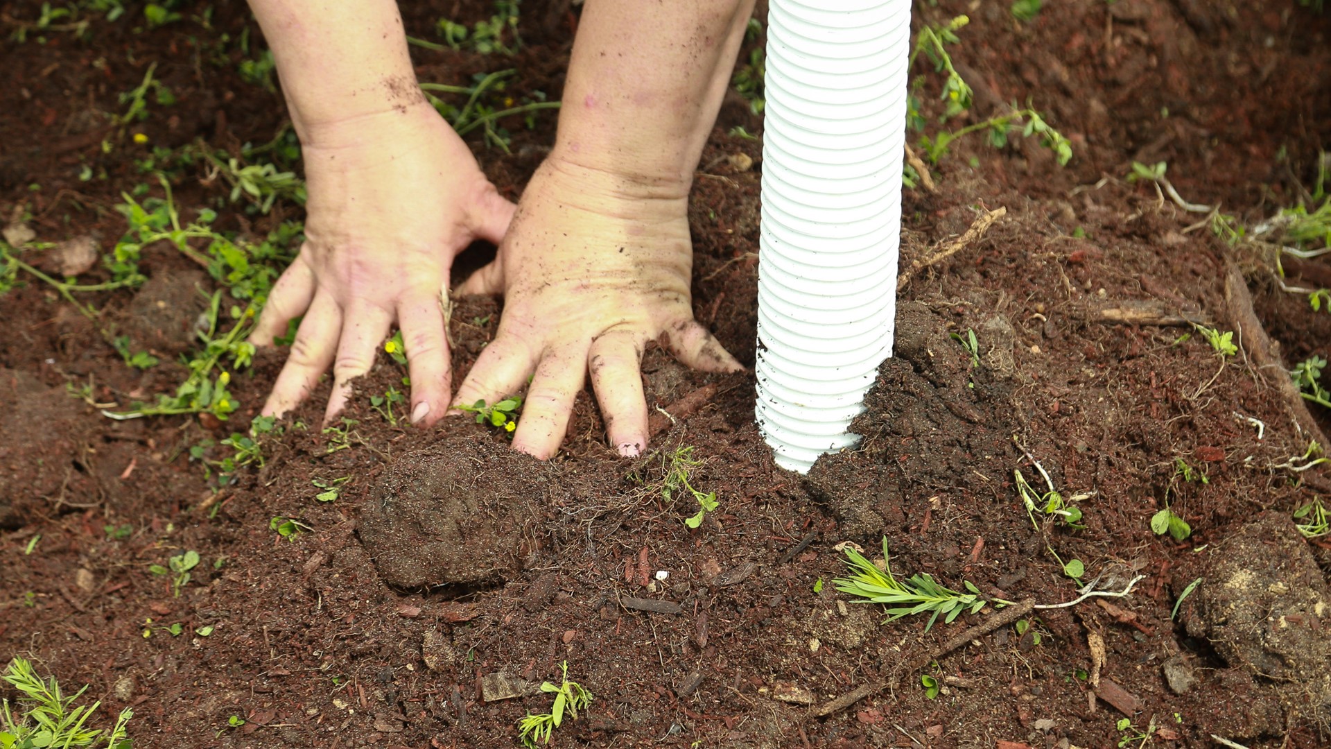 George Floyd family reacts to death in Minneapolis police custody ...