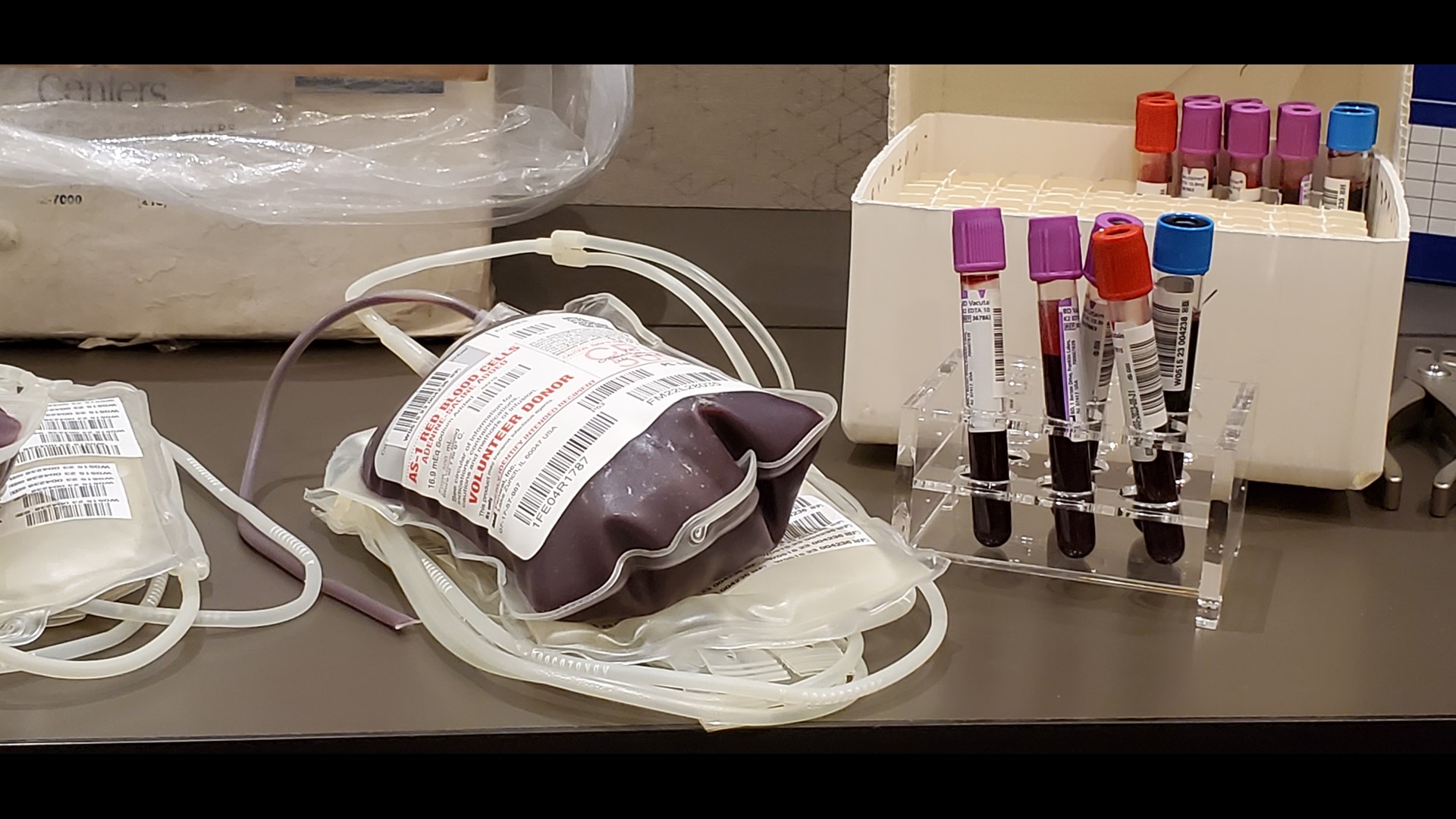 Spring into action to donate blood. | kare11.com