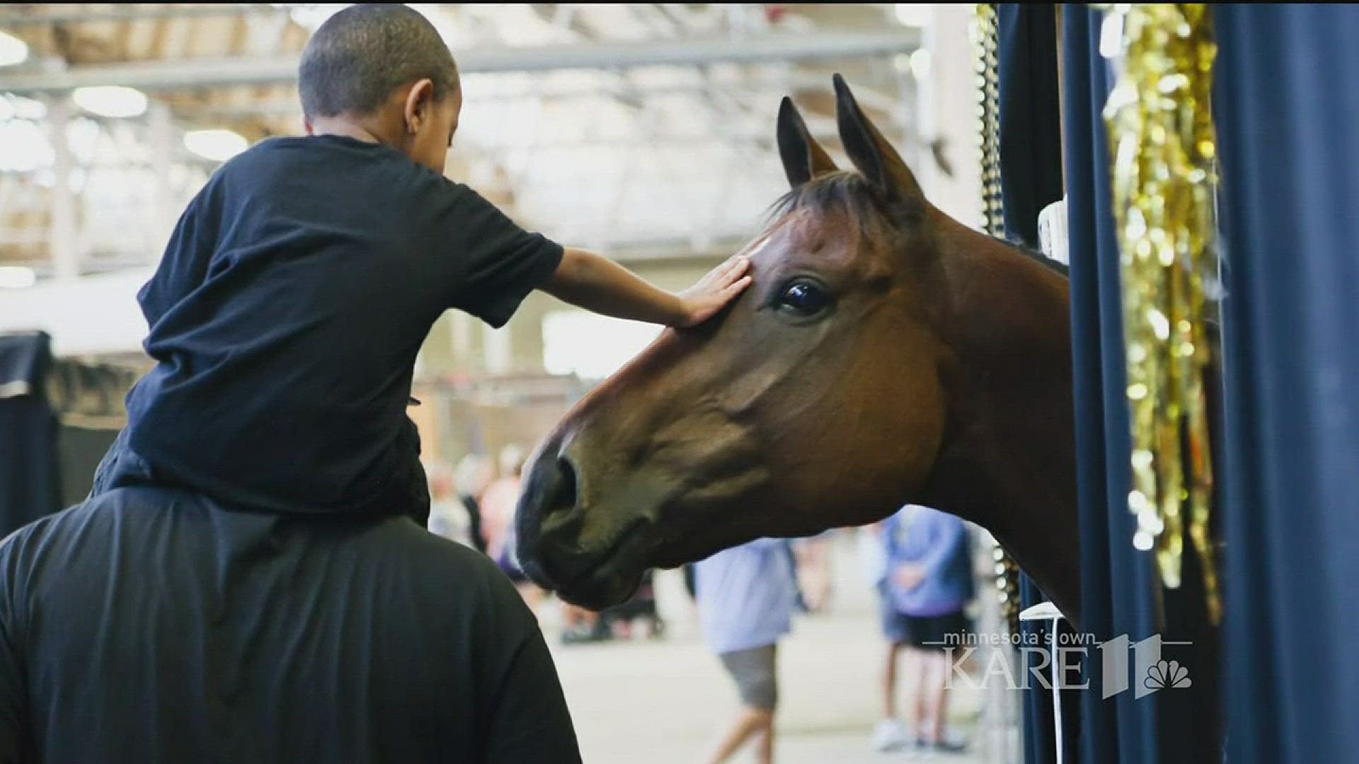 Minnesota State Fair: Animal Barns | kare11.com