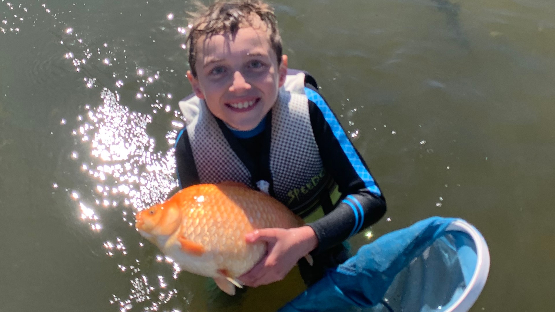 Maple Grove kids catch giant goldfish using only a net | kare11.com