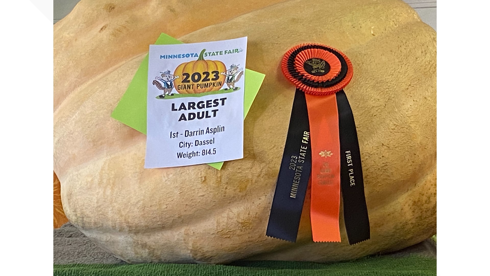 Minnesota State Fair Giant Pumpkin contest: See the winner | kare11.com