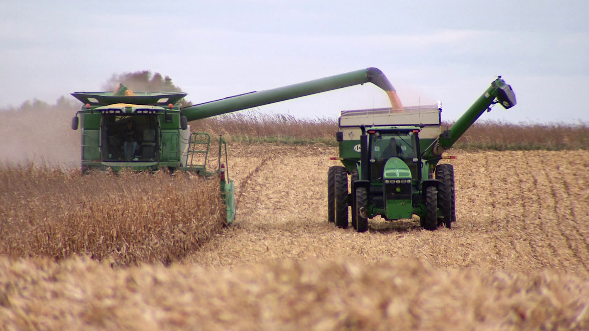 They saved their family farm; 12 years later they're still at it ...