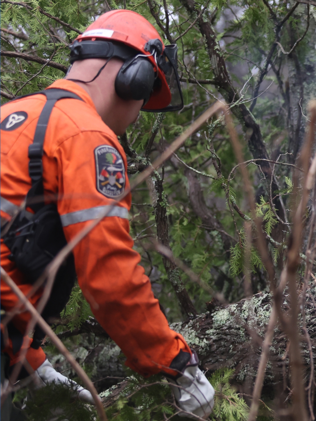 Crews make progress on MN wildfires; 'people of interest' ID'd in ...