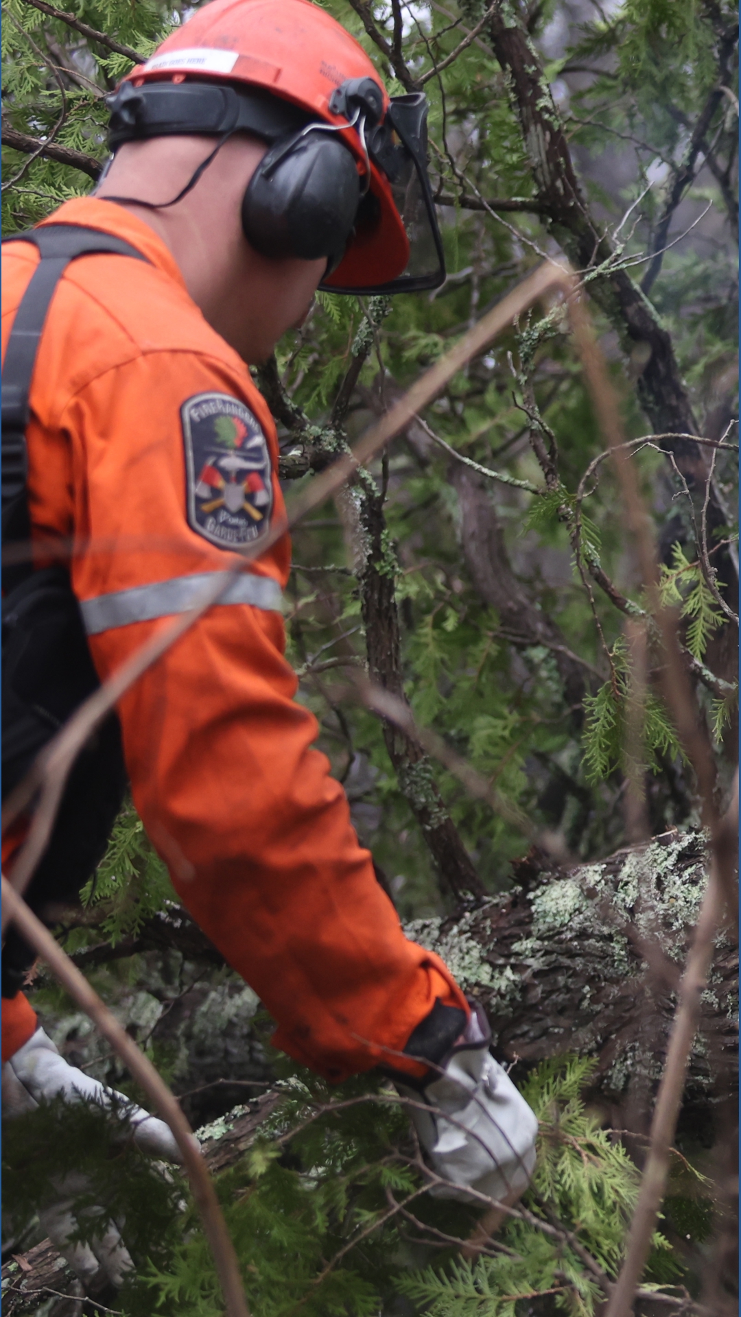 Crews make progress on MN wildfires; 'people of interest' ID'd in ...