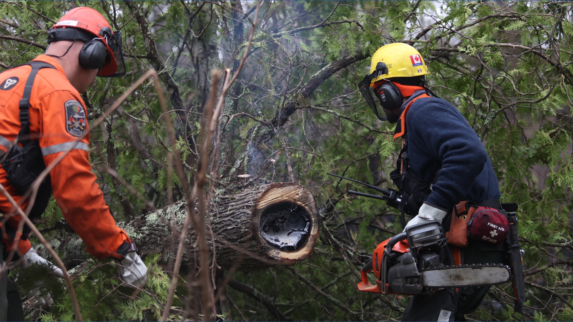Crews make progress on MN wildfires; 'people of interest' ID'd in ...