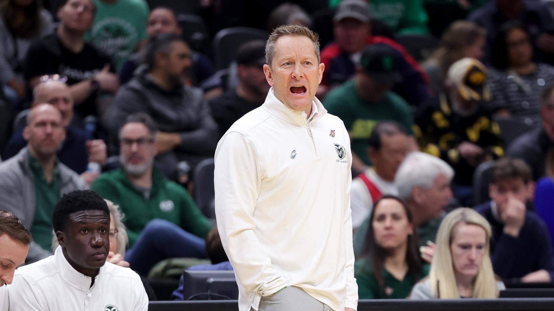 Minnesota targets Niko Medved as new head coach | kare11.com