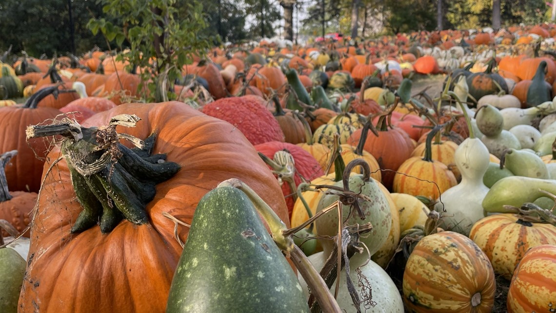 Minnesota Landscape Arboretum has record fall fruit harvest | kare11.com