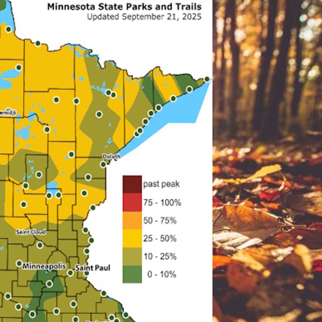 Colors changing in northern Minnesota as fall officially arrives ...