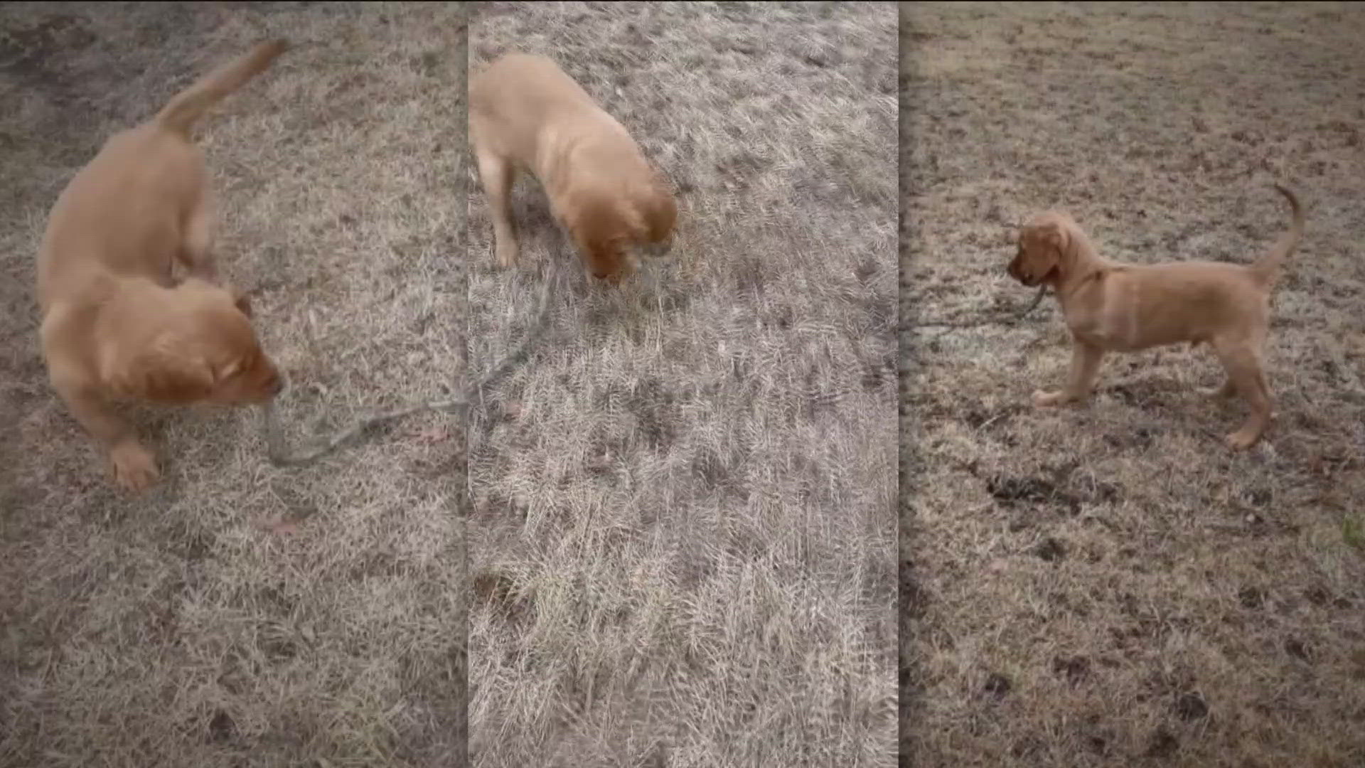 Your Good News: Karen Romin, Beth Schultz, Pam Griswold | kare11.com