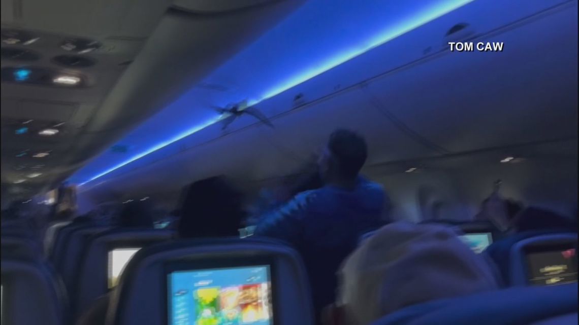 Pigeons on Delta flight delay departure twice | kare11.com