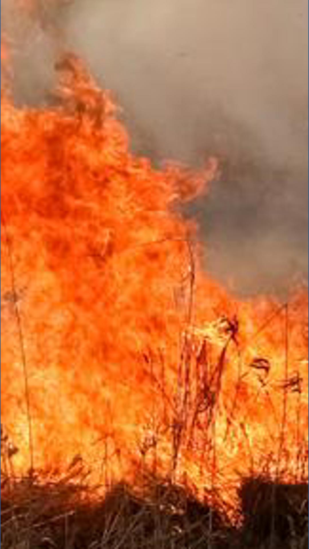 Minnesota DNR expands burn restrictions | kare11.com