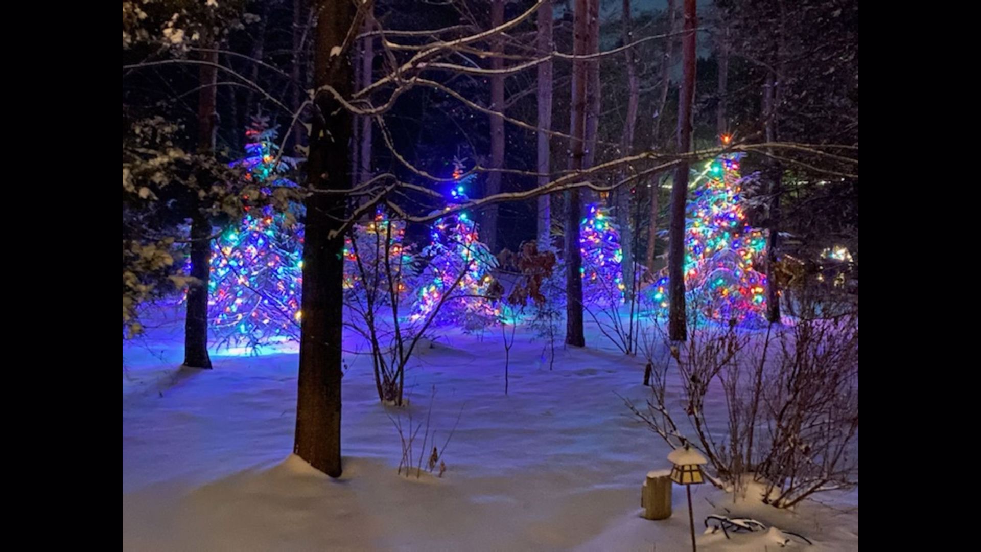 Must-see 2021 holiday light displays | kare11.com