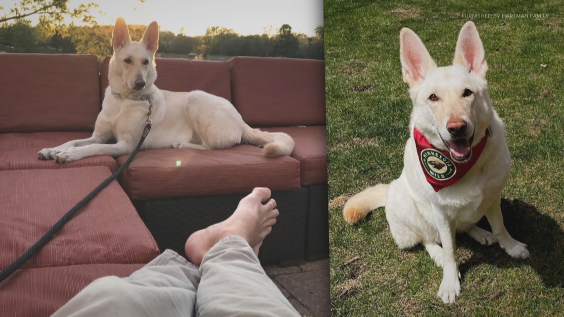 Hartman family moves forward without beloved Riley | kare11.com