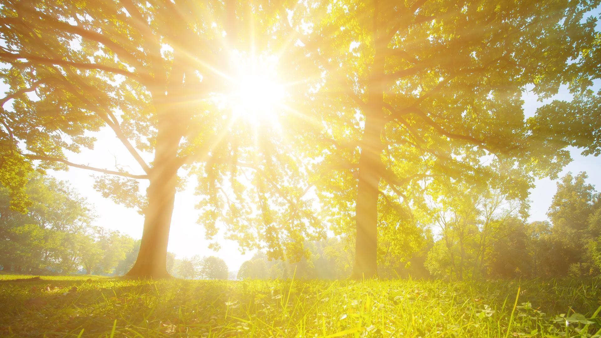 The new 924 area code is coming to Minnesota: Here's what to know ...