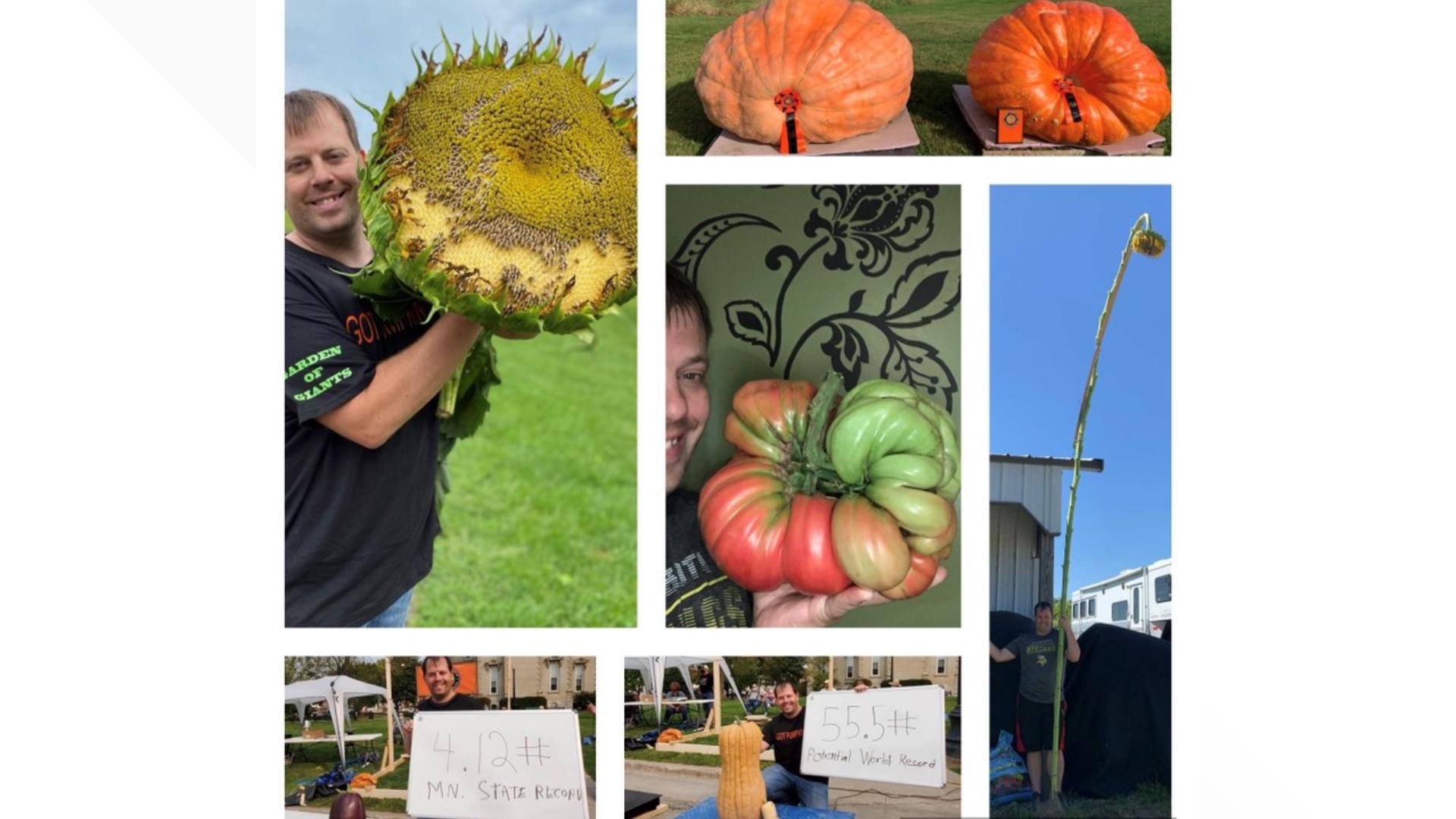 Minnesota State Fair weighs in newest record pumpkin | kare11.com
