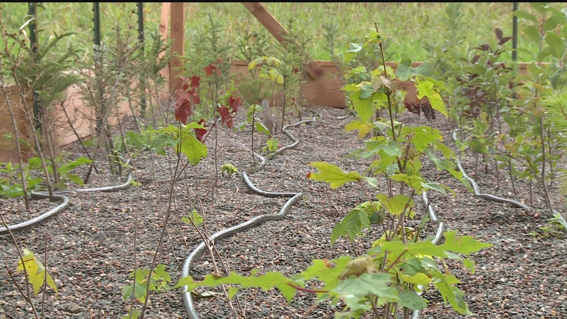 Dream of Wild Health expanding efforts to help Native community ...