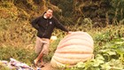 He grew the largest pumpkin in history — now about those seed | kare11.com