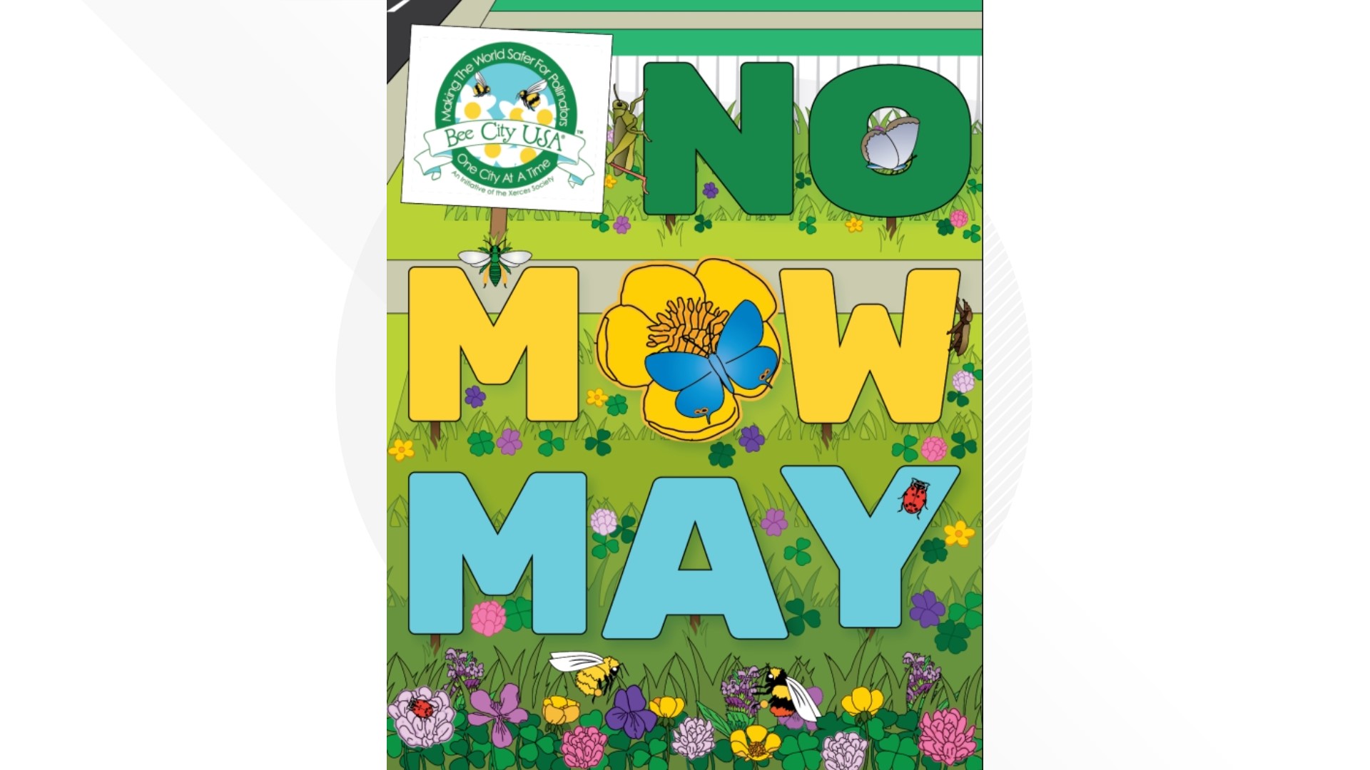 What is 'No Mow May?" | kare11.com