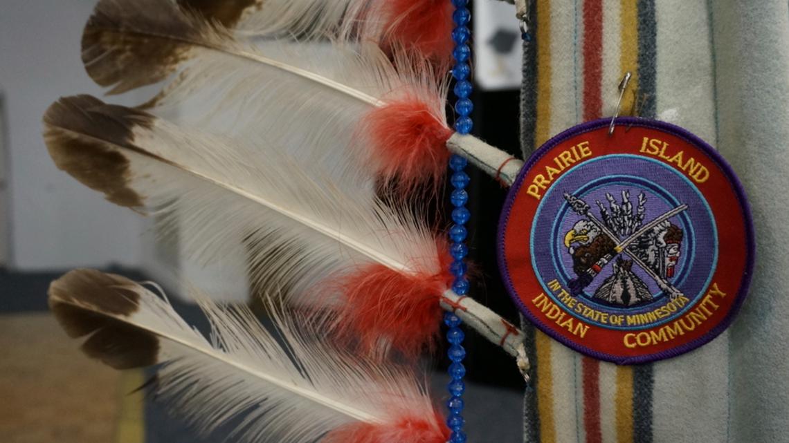 Bald eagle's new status as the official US bird brings pride and hope ...