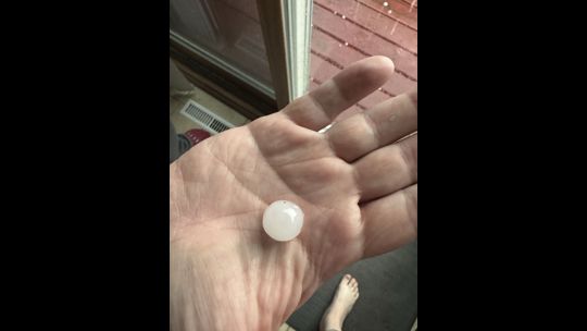 Near Me | kare11.com