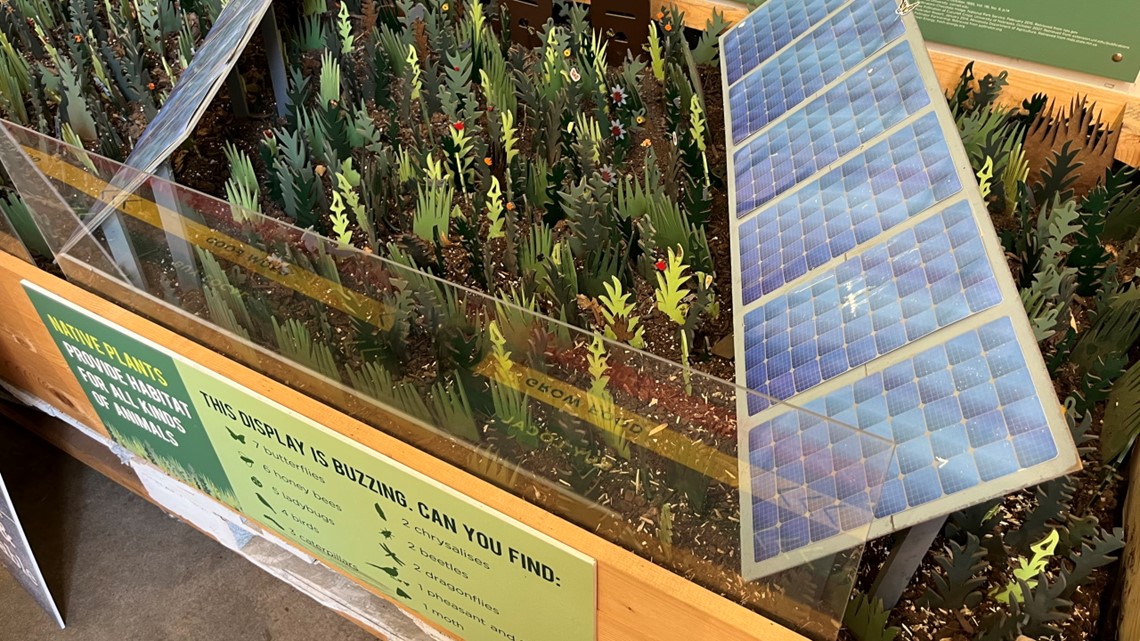 Exhibit highlights growing food between solar panels | kare11.com