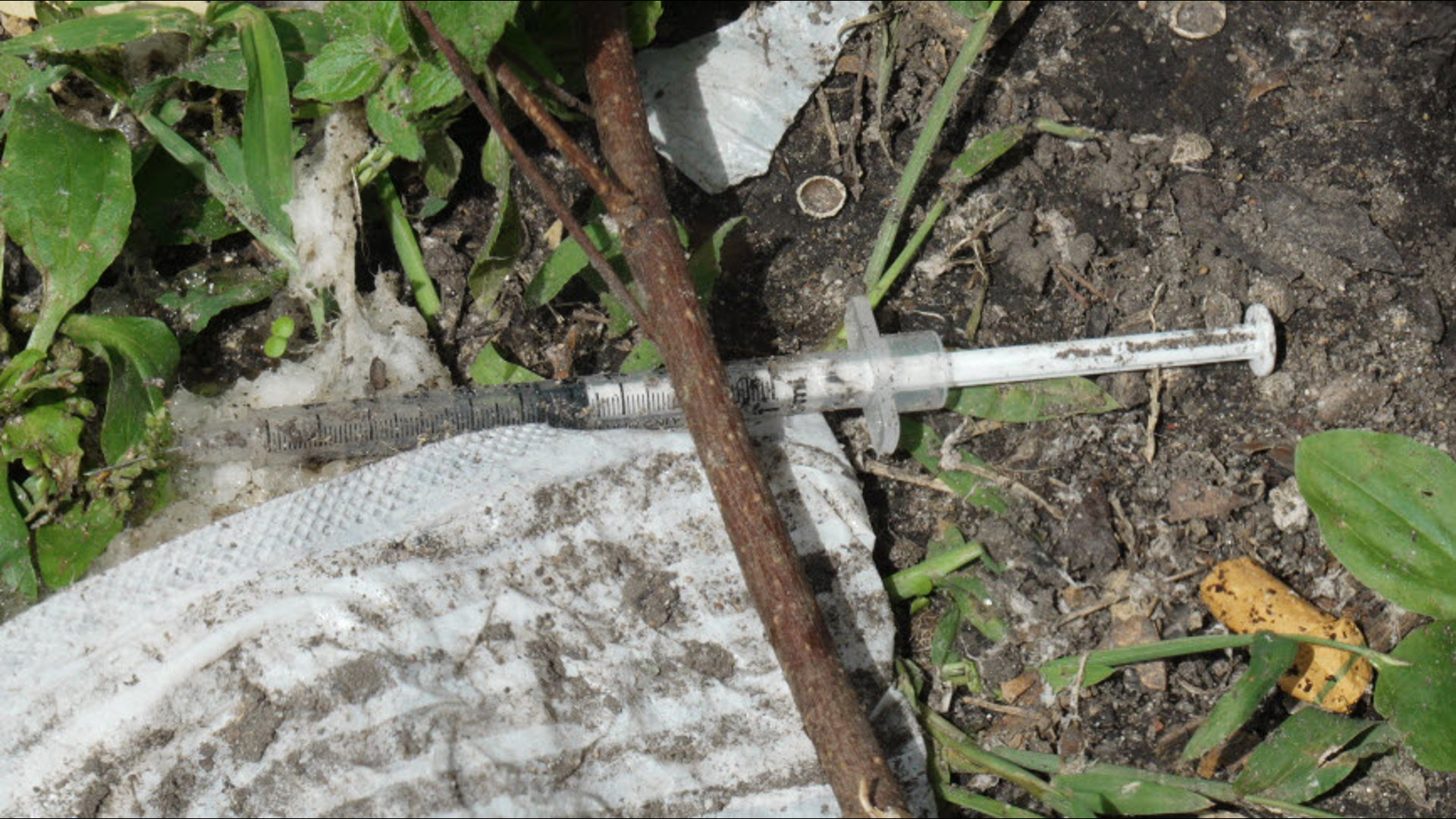 Evergreen Recovery’s former clients in crisis | kare11.com