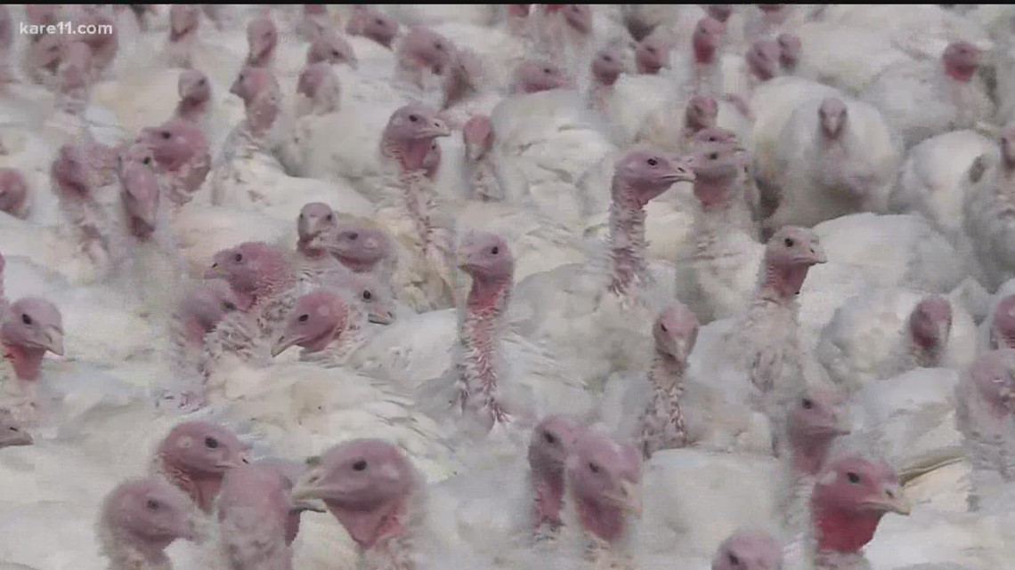 Terri Traen opens up about KQRS ousting | kare11.com