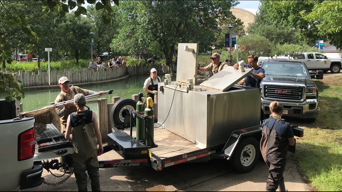 DNR Fish Pond a great getaway from State Fair chaos | kare11.com