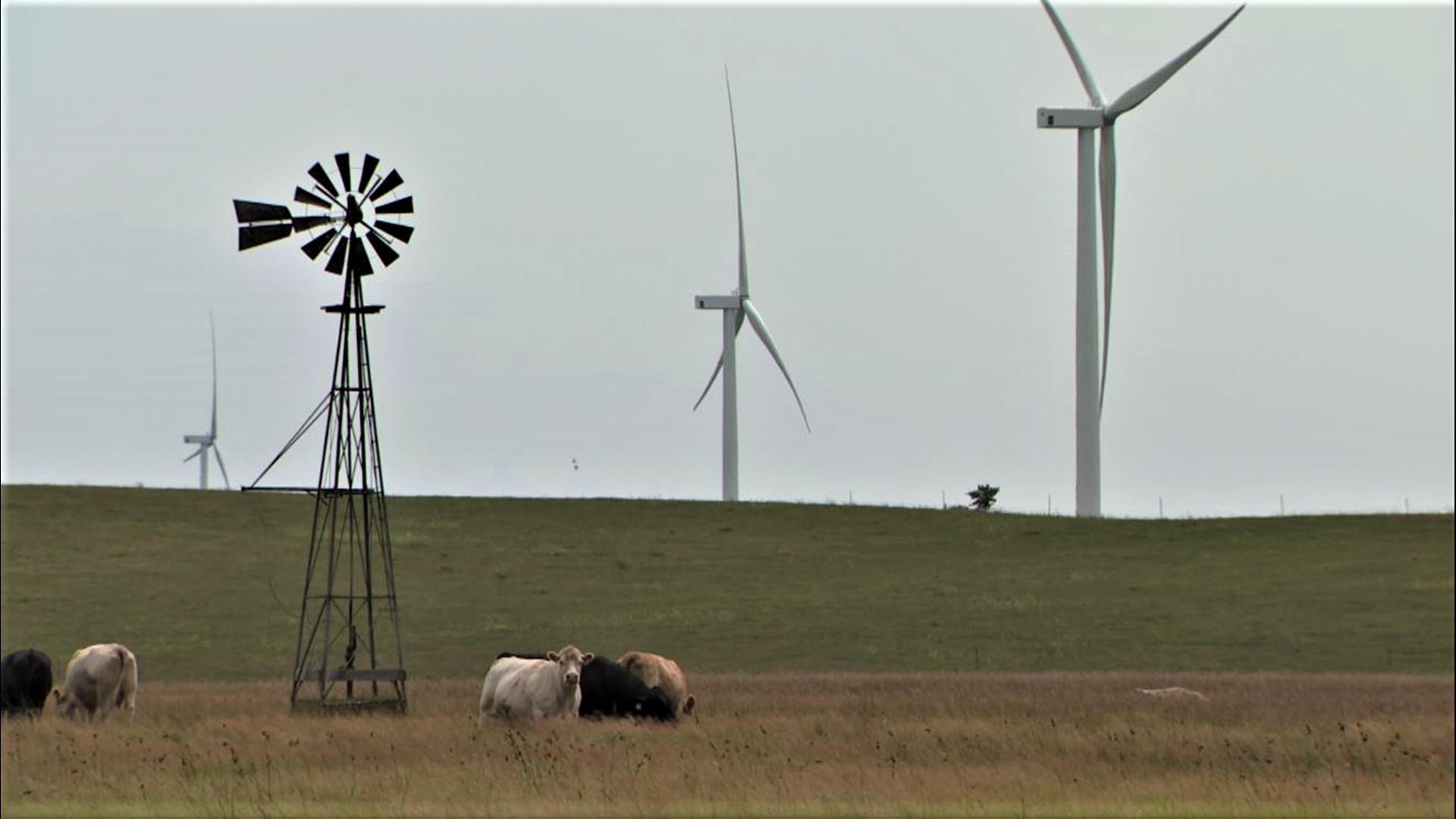 Vintage windmill farm gives dozens of classics a place to spin | kare11.com