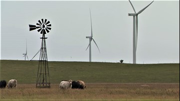 Vintage windmill farm gives dozens of classics a place to spin | kare11.com