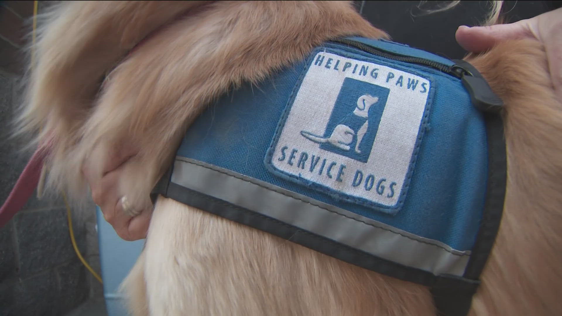 Helping Paws fundraiser held to raise funds, honor Hortmans | kare11.com