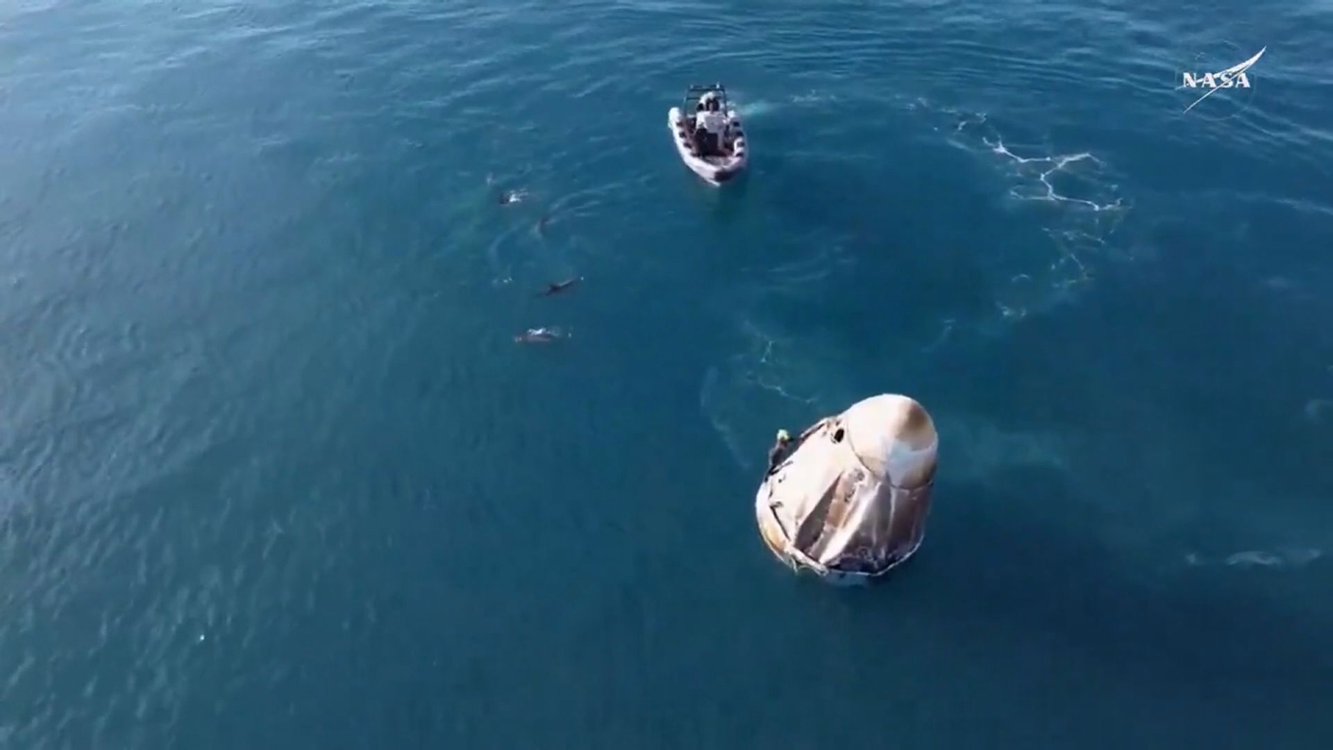 Dolphins greet NASA astronauts back to Earth after splashdown | kare11.com