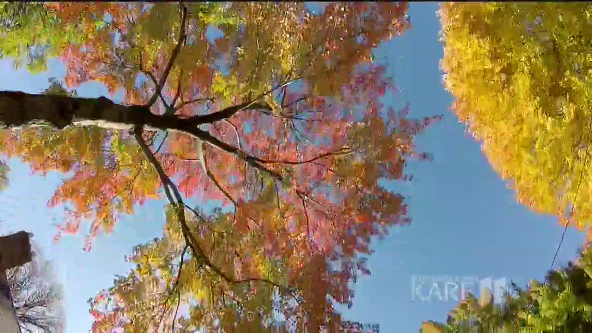 Top 11 spots to see fall colors | kare11.com