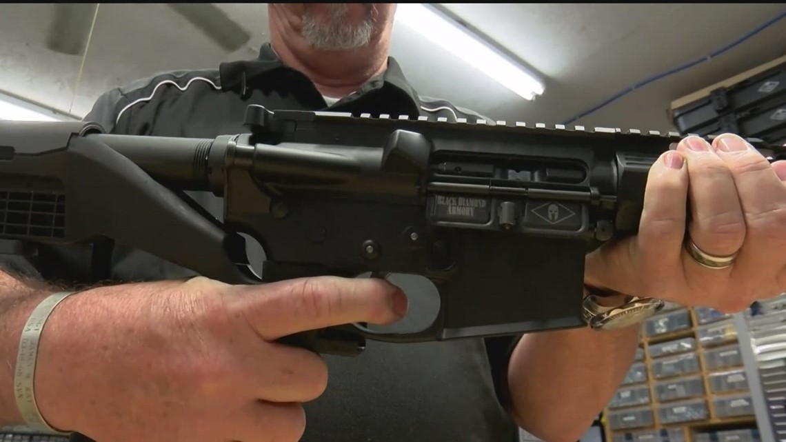 MN Democrats to expand gun background checks, pass red flag law ...