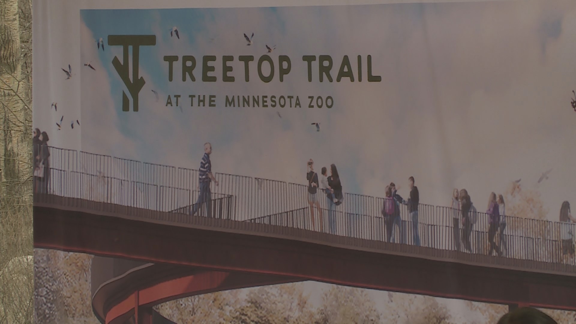 Minnesota Zoo announces big project, the Treetop Trail | kare11.com
