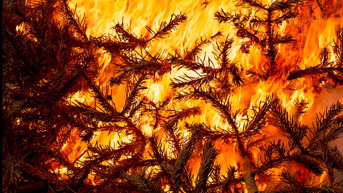 Fire safety tips for the holiday season | kare11.com