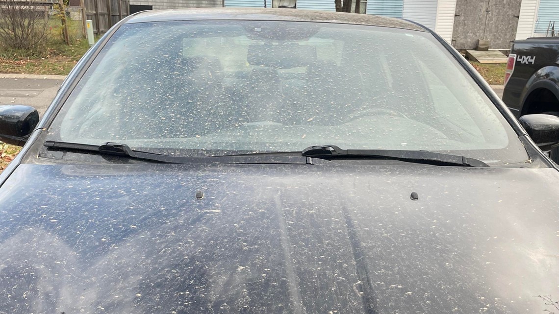 Storms drop a coating of 'dirt rain' on the Twin Cities | kare11.com