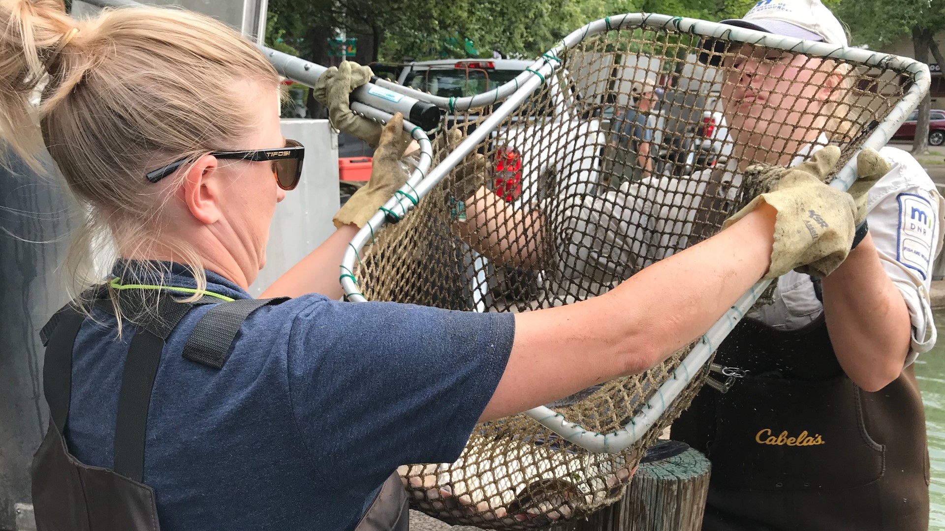 DNR Fish Pond a great getaway from State Fair chaos | kare11.com