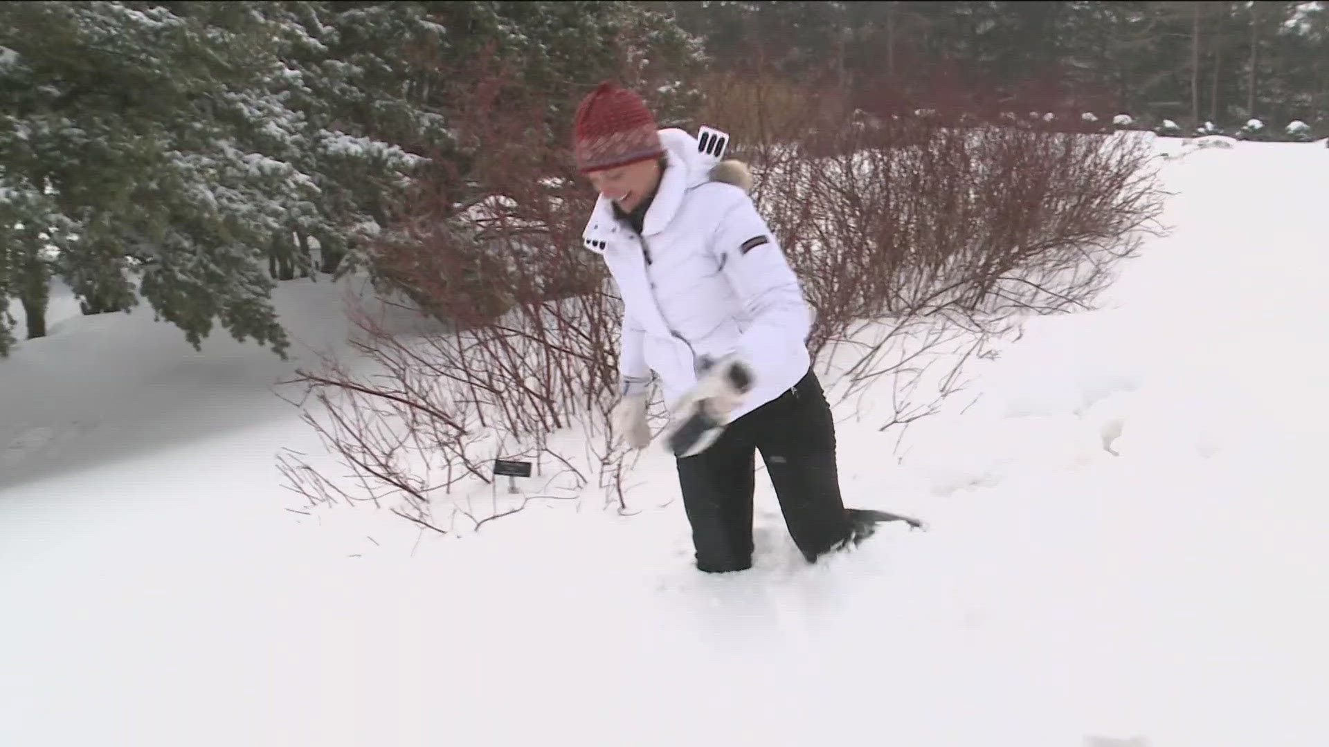 Vintage Grow with KARE: Landscape Arboretum snowshoeing | kare11.com