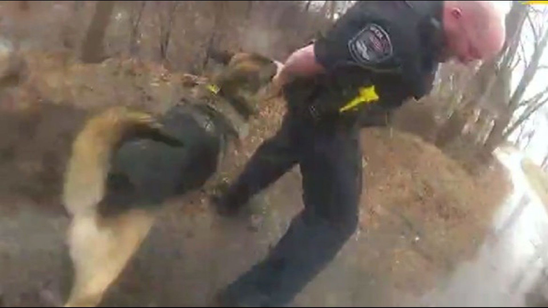 Police officer sues Hennepin County Deputy over K9 bites | kare11.com